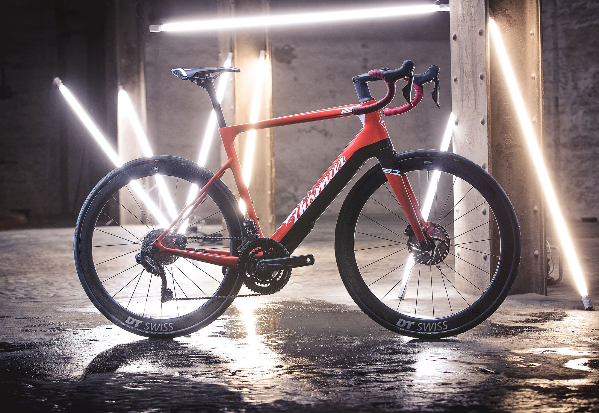 Ausgezeichneter Sliker E1 • Thömus