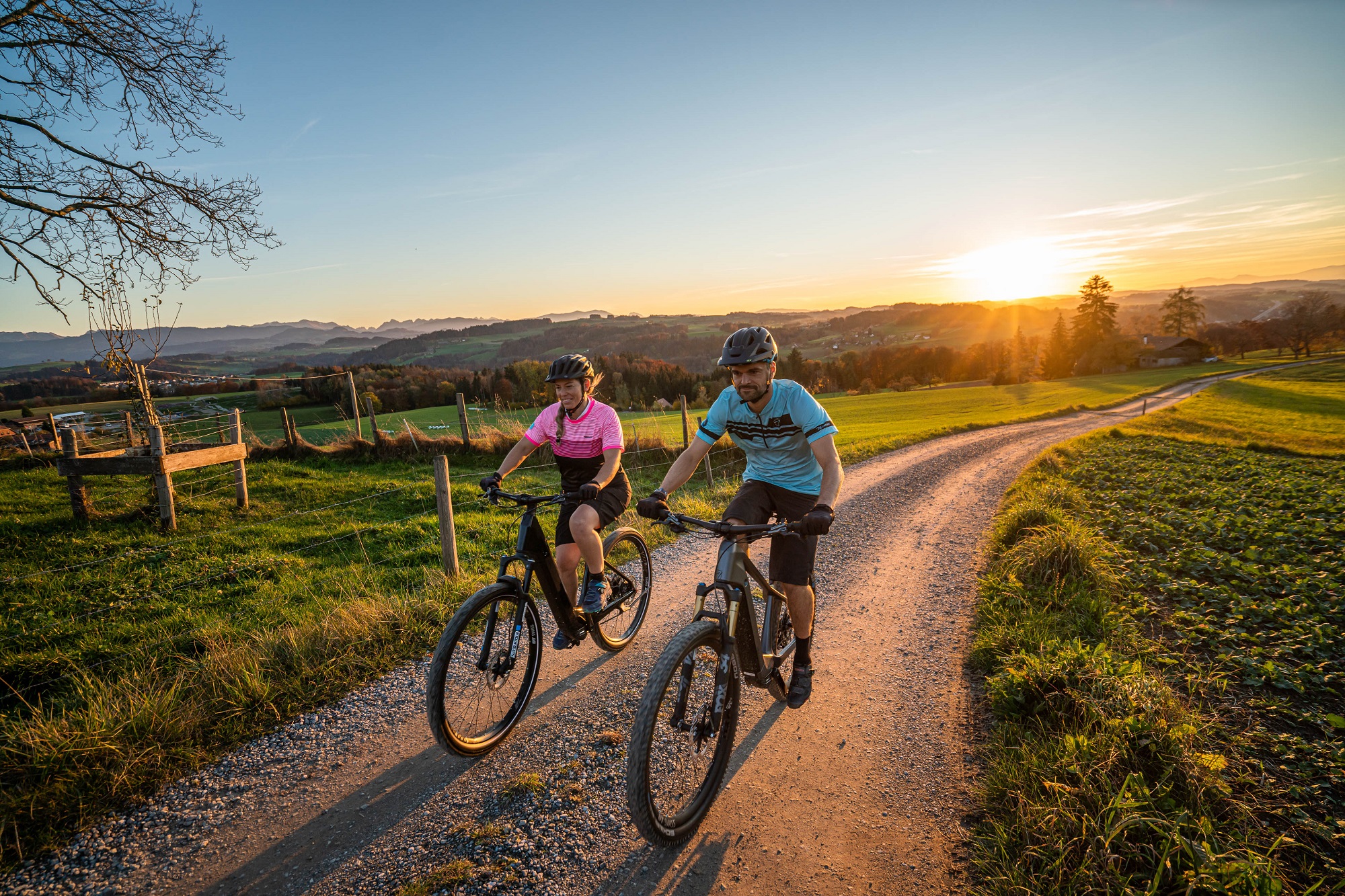 Easy Bike • Thömus